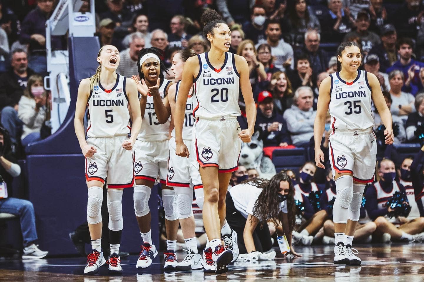 为什么选择UConn - University of Connecticut